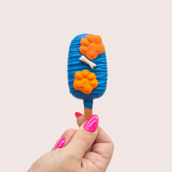 Bluey Party Box - Tessa's Bakery